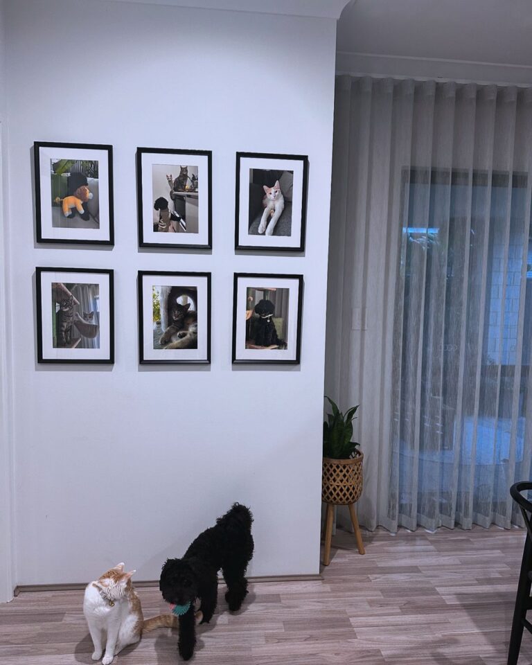 31+ Inspiring Photo Wall Ideas to Personalize Your Space