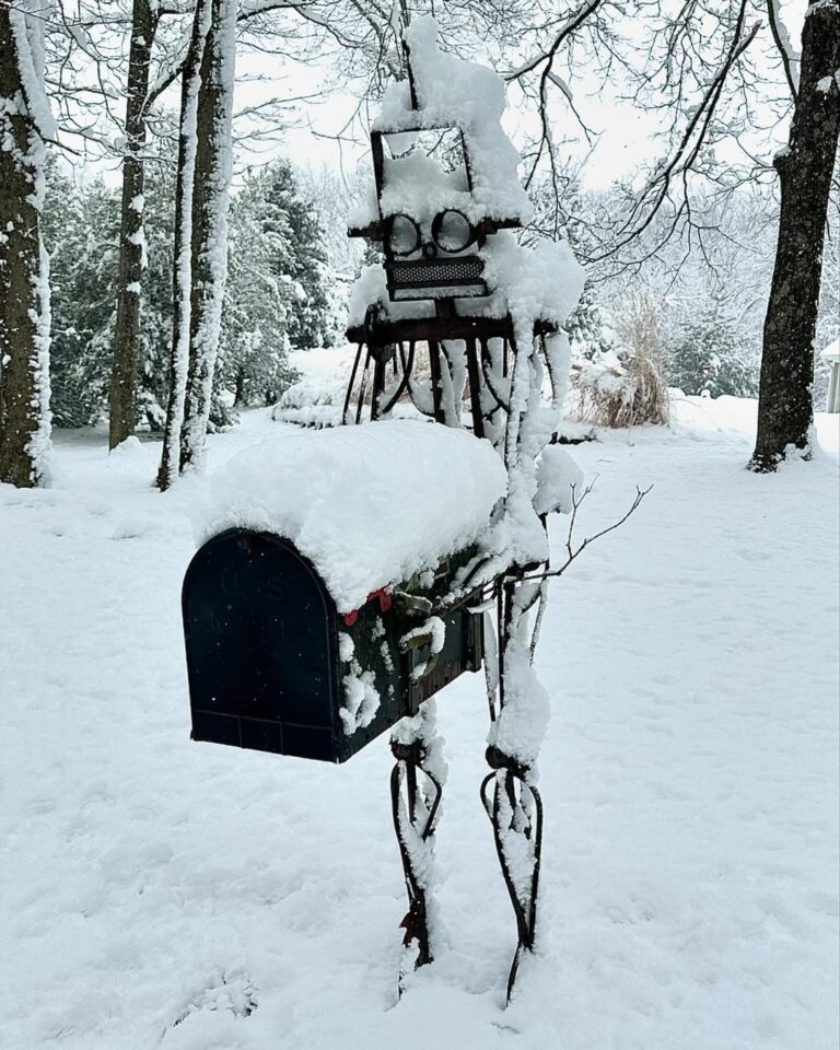 25+ Creative Mailbox Decor Ideas That’ll Instantly Boost Curb Appeal