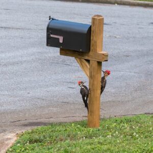 19 Mailbox Post Ideas That Are Way More Than Just Functional