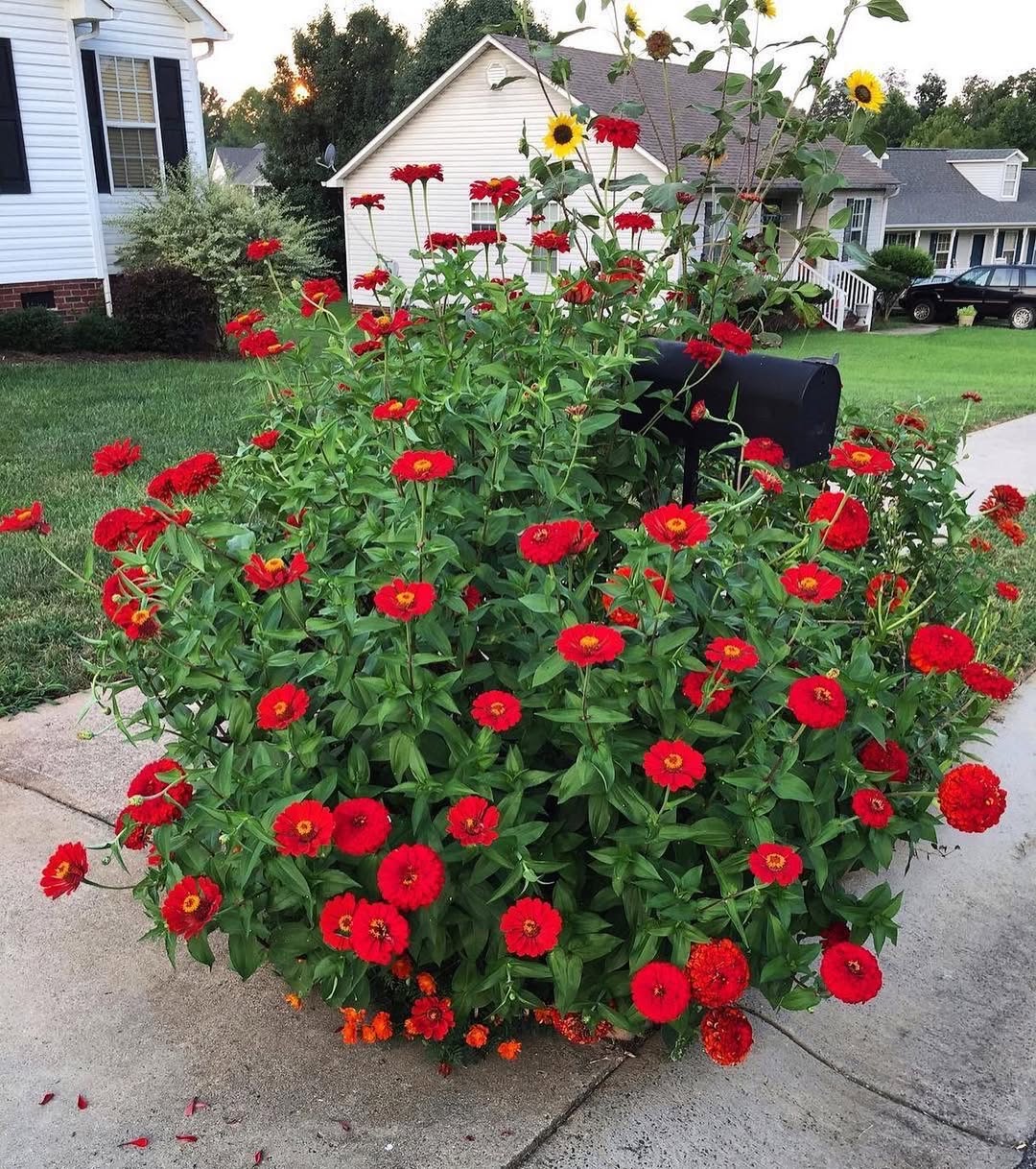 25+ Creative Mailbox Decor Ideas That’ll Instantly Boost Curb Appeal