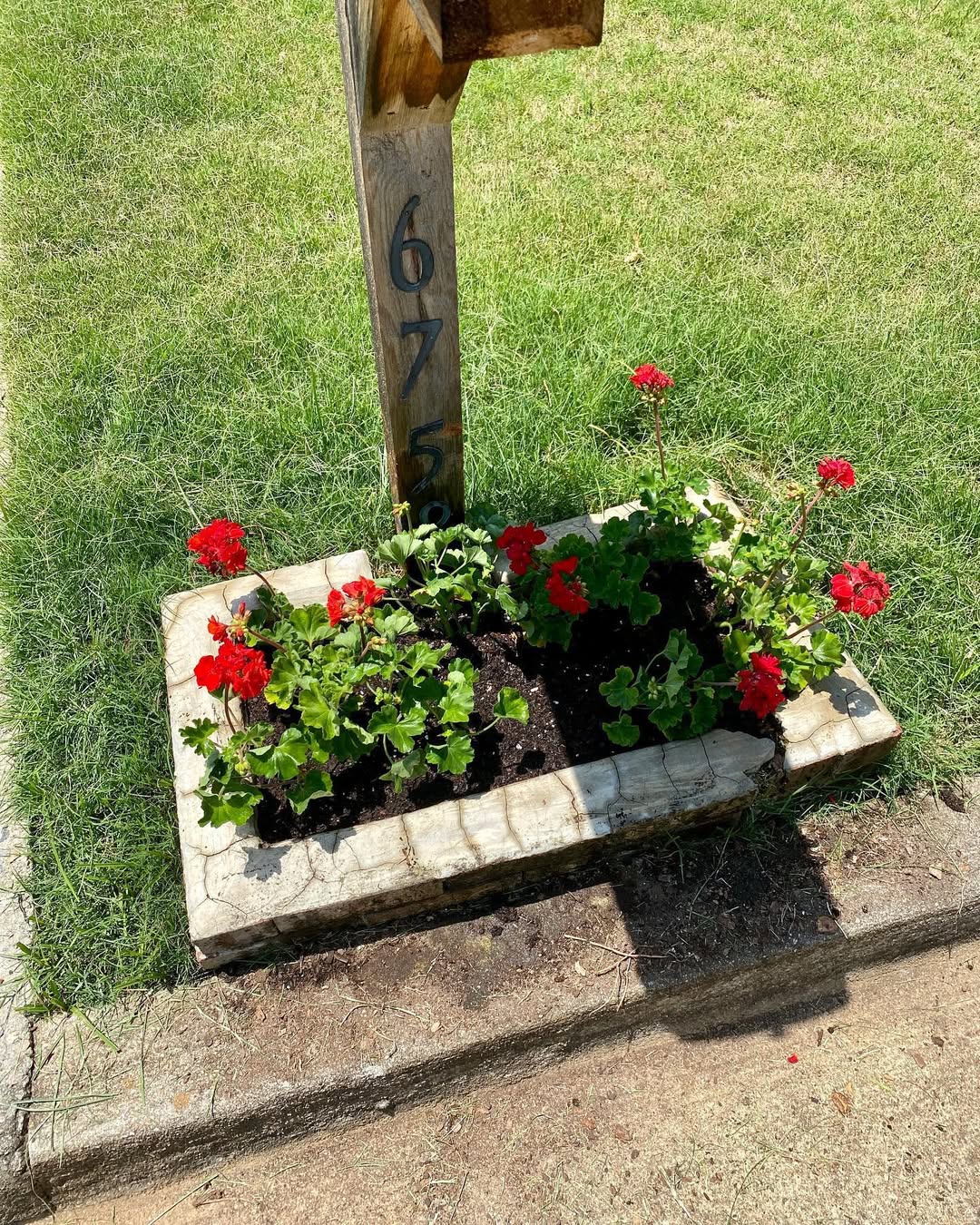 15+ Mailbox Flower Bed Ideas That’ll Instantly Boost Curb Appeal
