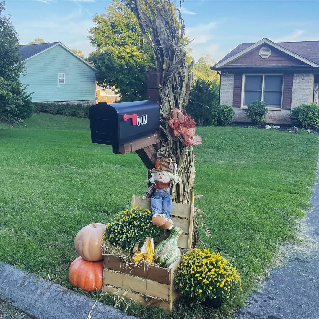 15+ Mailbox Flower Bed Ideas That’ll Instantly Boost Curb Appeal
