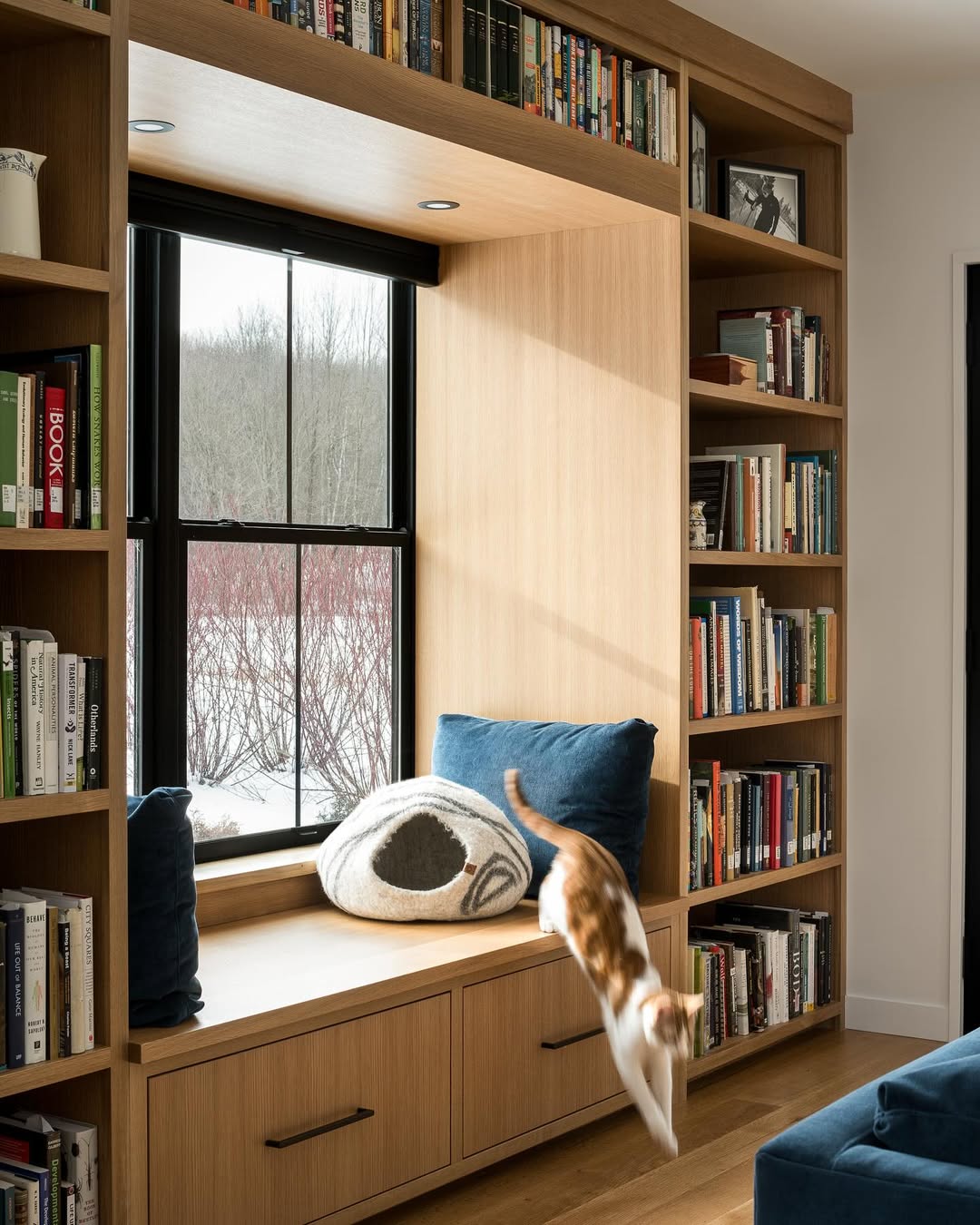 Turn Any Spot Into a Cozy Escape With These Reading Nook Ideas