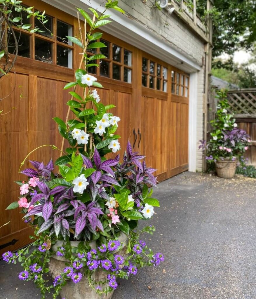 Brilliant Container Garden Ideas to Transform Patios, Balconies, and ...